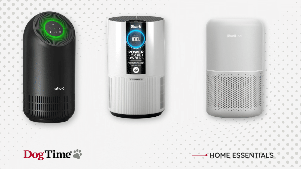 17 Best Air Purifiers for Pet Owners: Say Bye-Bye to Allergies