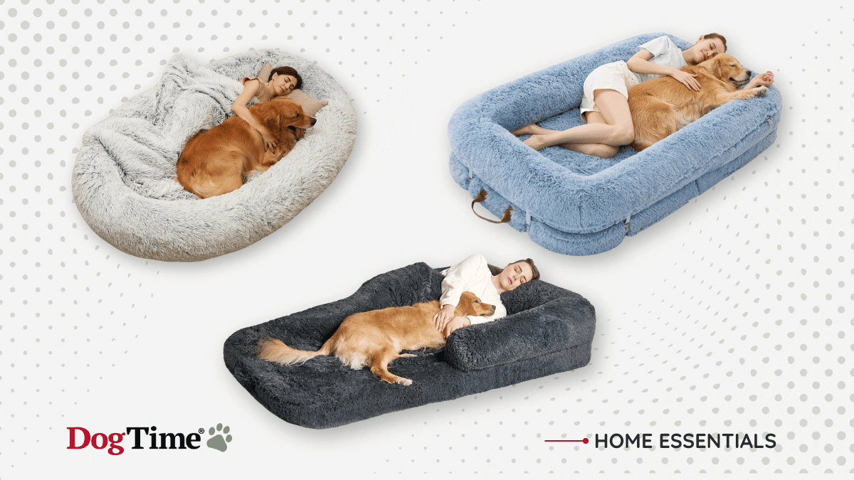Best Human Dog Beds for the Ultimate Cuddle Fest