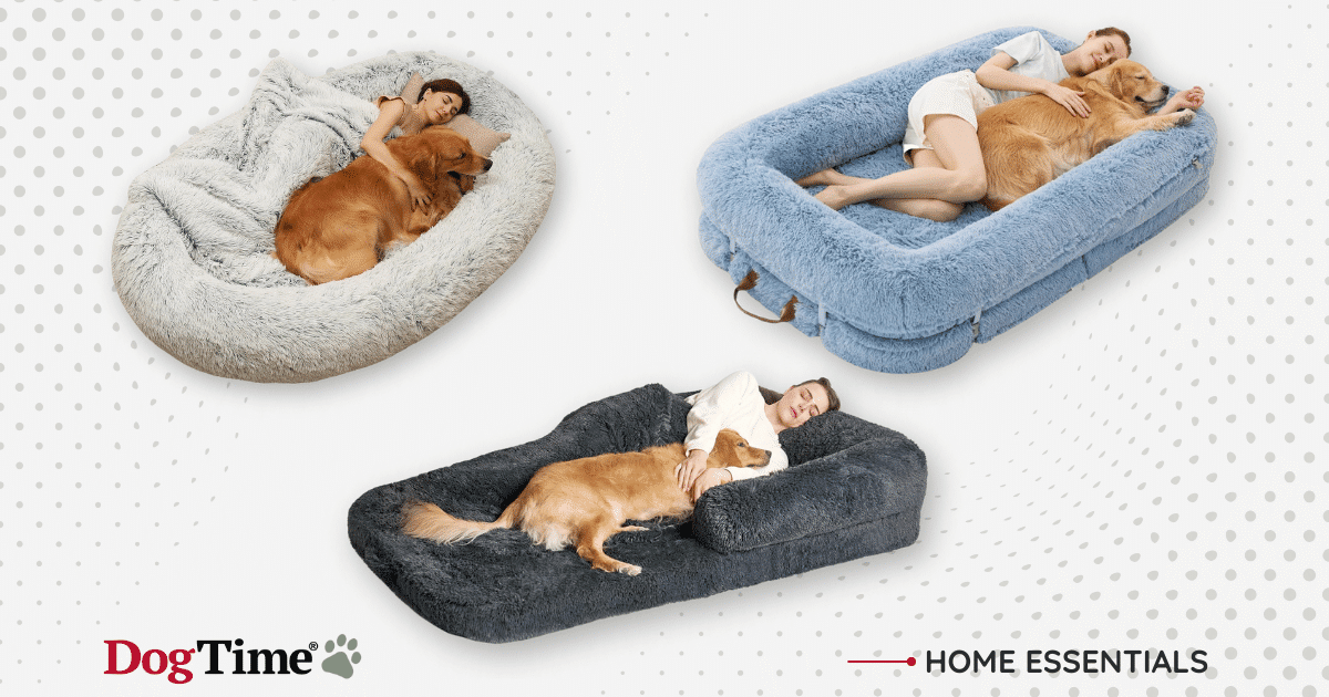 Best Human Dog Beds for the Ultimate Cuddle Fest
