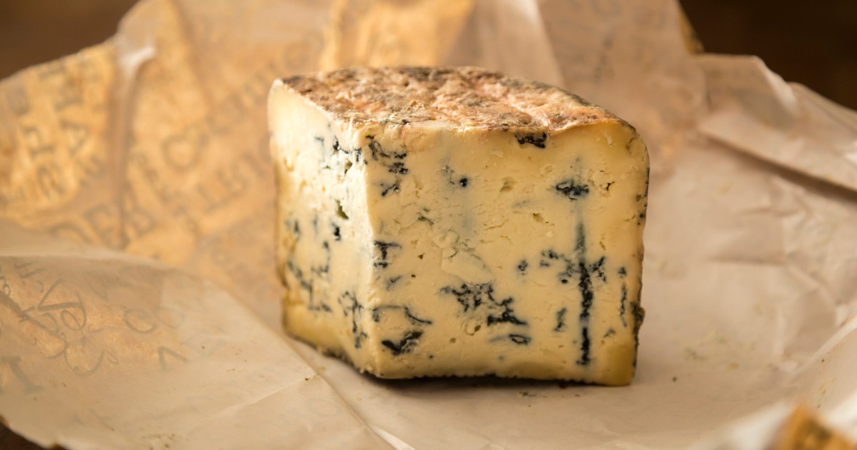Can Dogs Eat Blue Cheese? Is Blue Cheese Safe For Dogs? - DogTime
