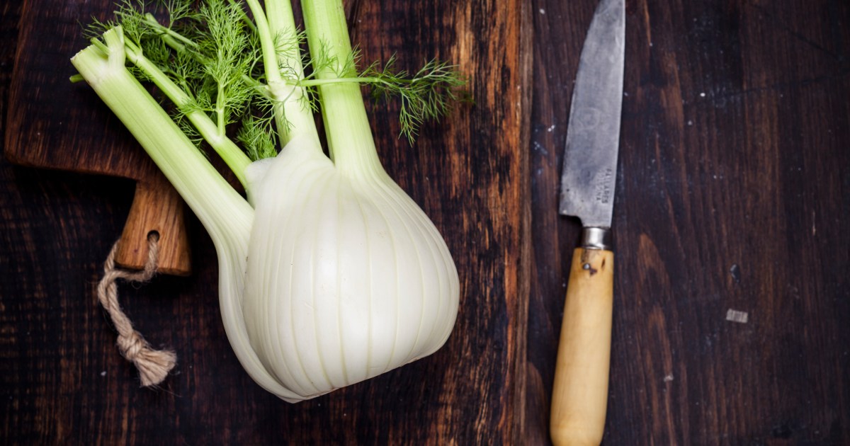 Can Dogs Eat Fennel? Is Fennel Safe For Dogs? - DogTime