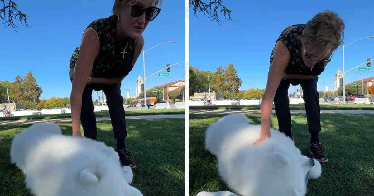 Video: Nobody Wants To Know Dog Owner's Name When Pup Is Around - DogTime