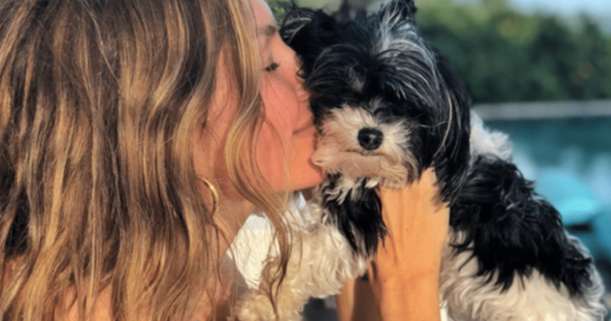 Tom Brady's Dog Fluffy: Breed, Age, and More - DogTime