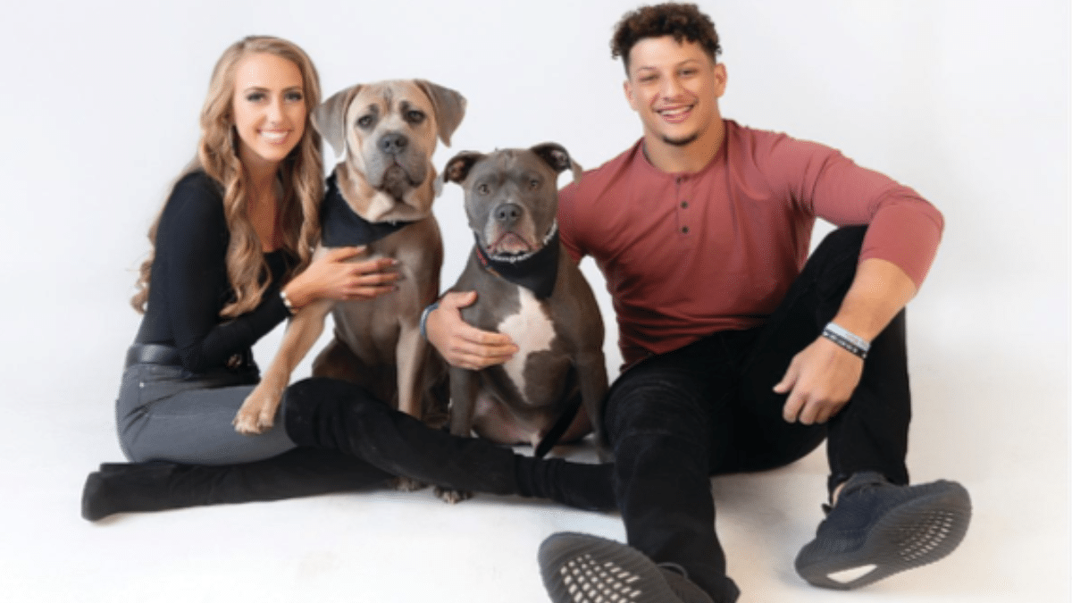 Patrick & Brittany Mahomes' Dog Steel: Breed, Age, and More - DogTime