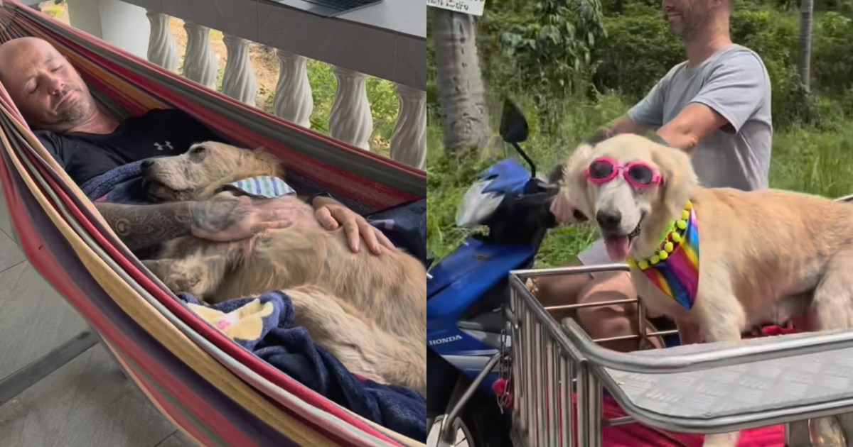 Video Reveals How a Rescue Dog Left Behind a Legacy of Her Own