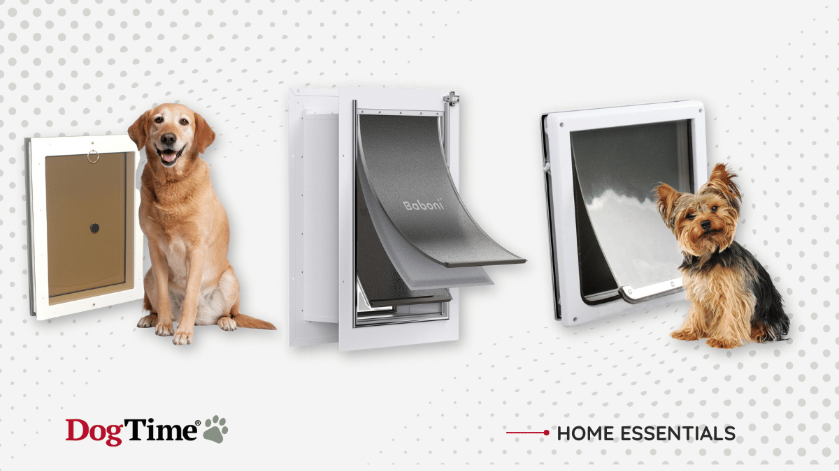 Best Dog Doors for Your Furry BFF