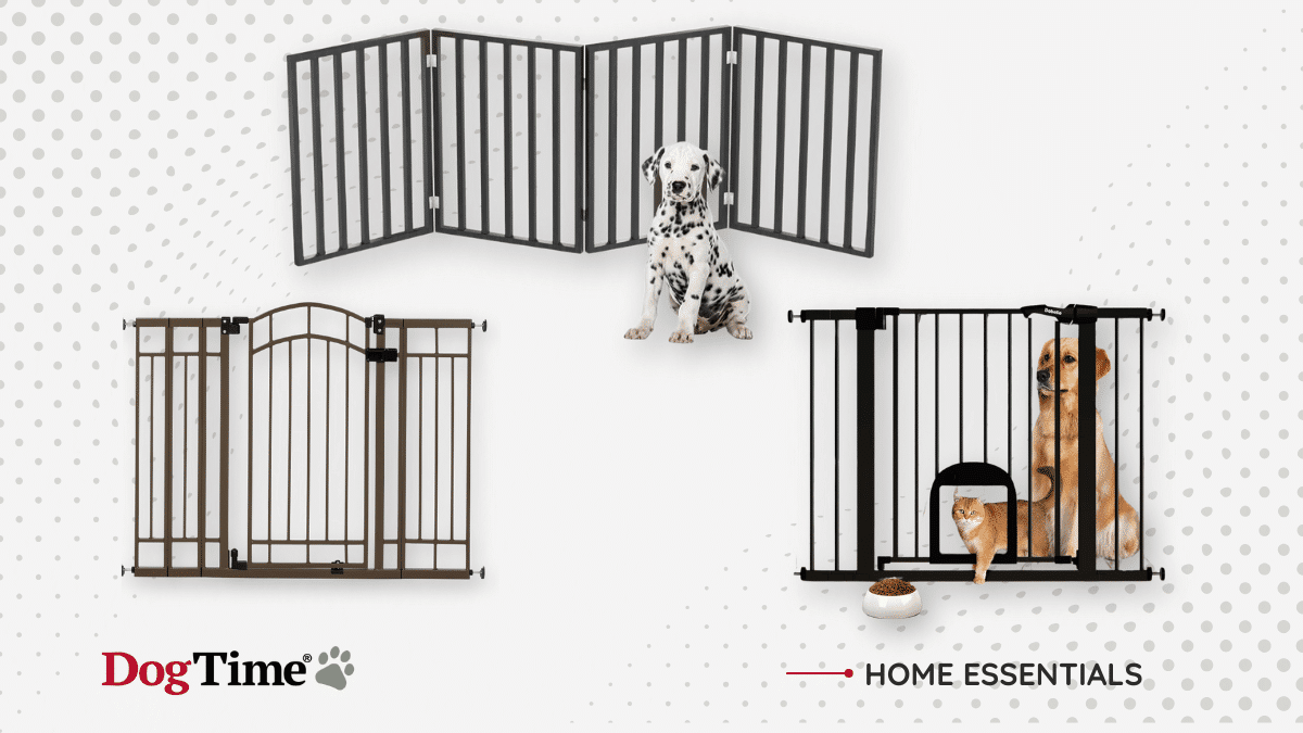 Best Dog Gates for Every Home in 2025