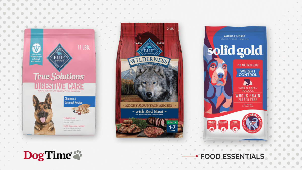 Best High-Fiber Dog Foods for a Healthy Gut
