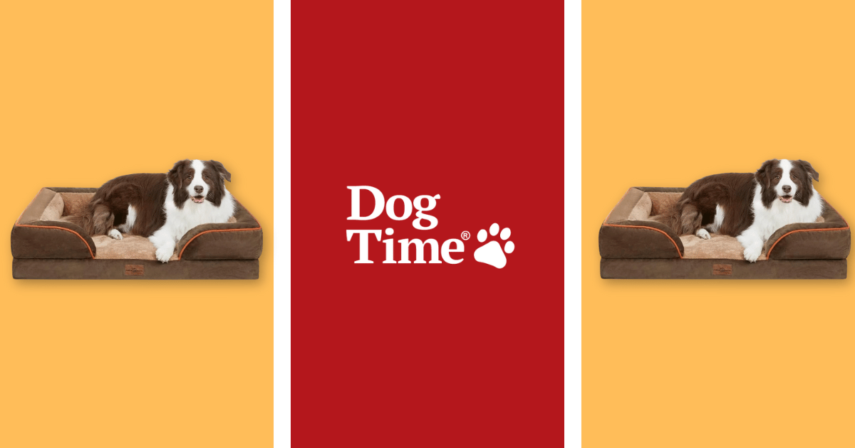 Comfort Expression Large Dog Bed With Orthopedic Foam