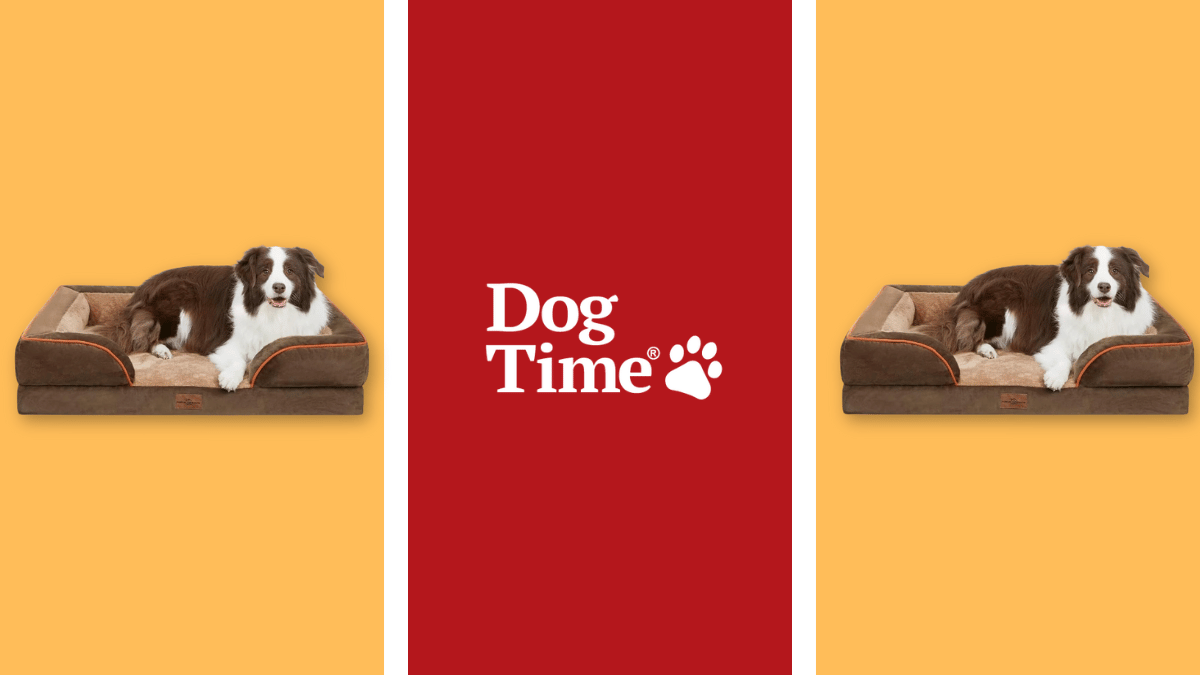 DogTime
