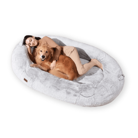 Best Human Dog Beds for the Ultimate Cuddle Fest