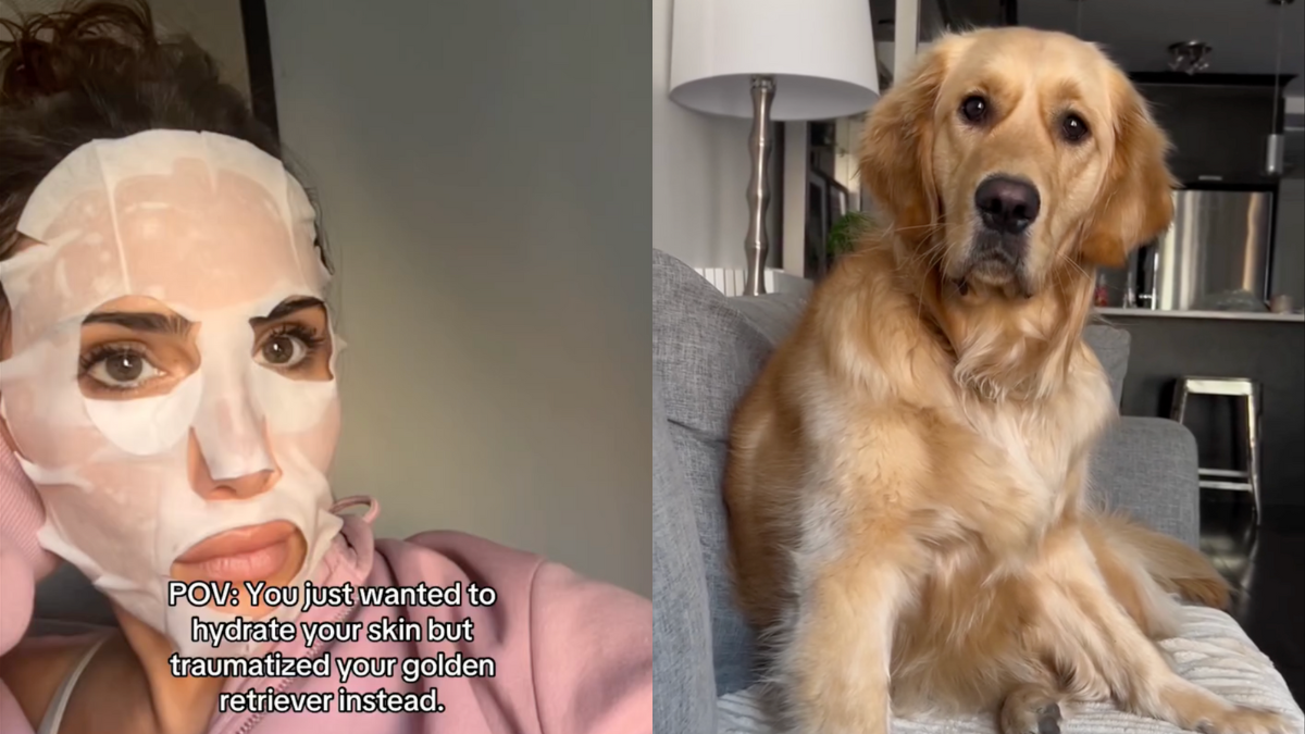 Video: Golden Retriever Reacts When Owner Wears a Sheet Mask - DogTime