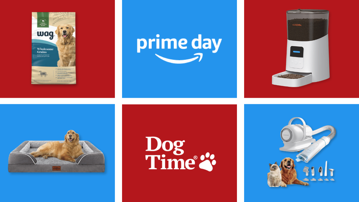 Best Anti-Barking Devices for Dogs in 2025