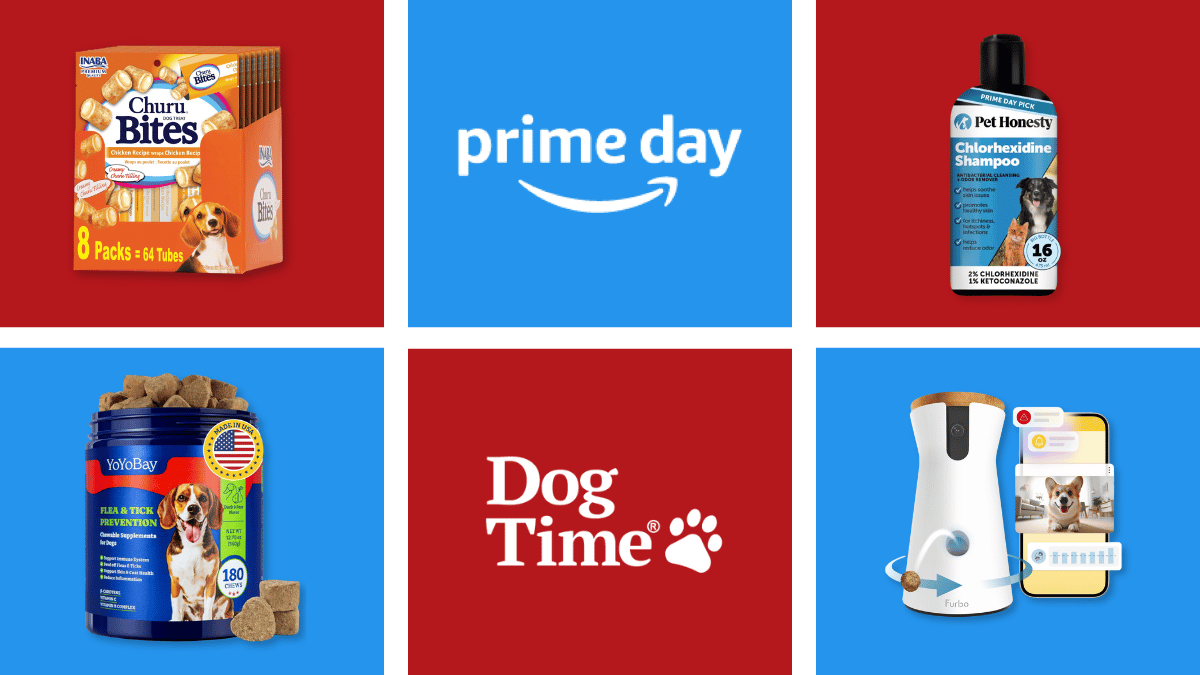 Last Day to Shop the Best Cat Deals: Amazon Prime Day 2025