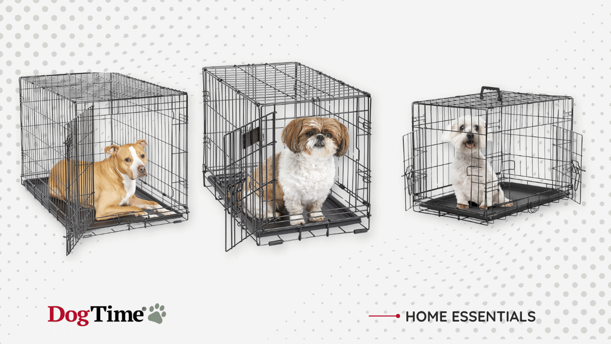Best Dog Crates — Tried And Tested by Pet Owners in 2025
