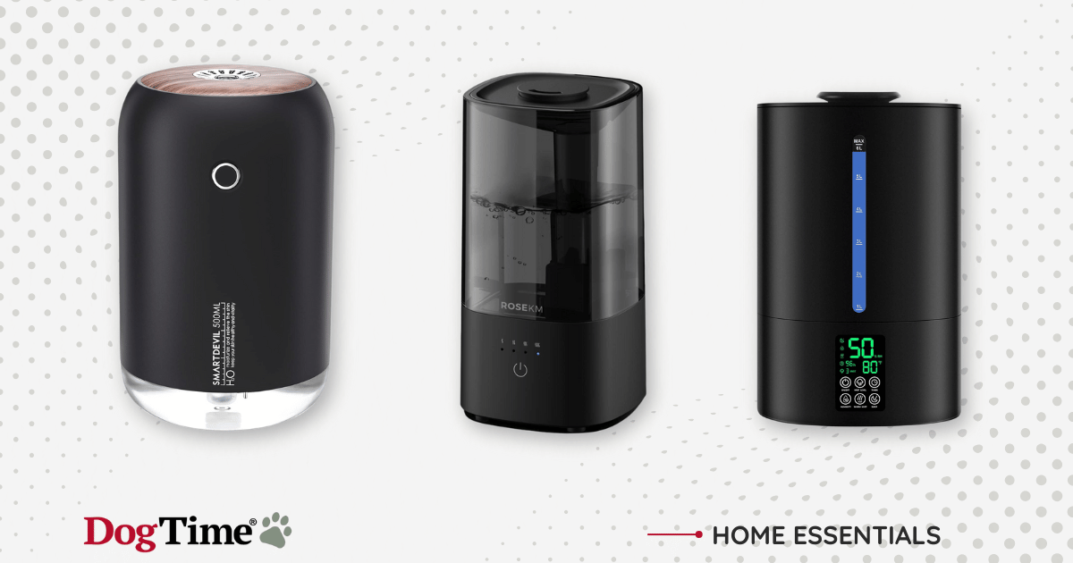 12 Best Humidifiers for Pet Parents in 2025