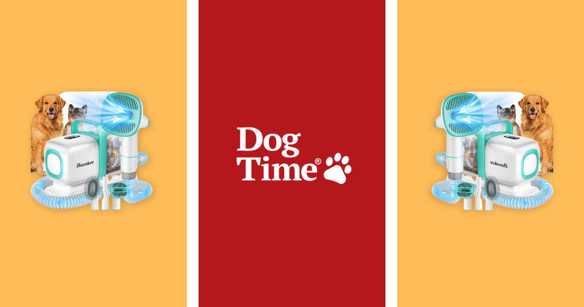 Dog Essentials - DogTime