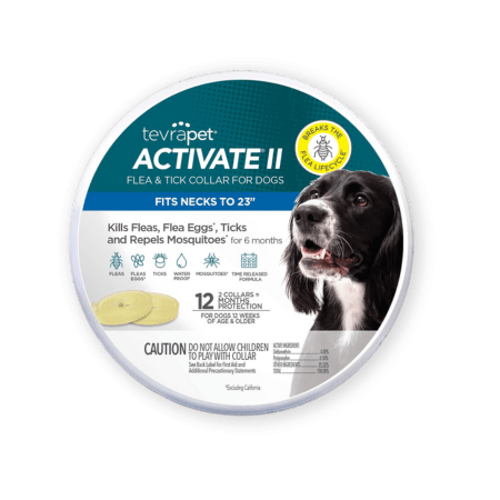 13 Best Flea Treatments for Dogs — Top Picks in 2025