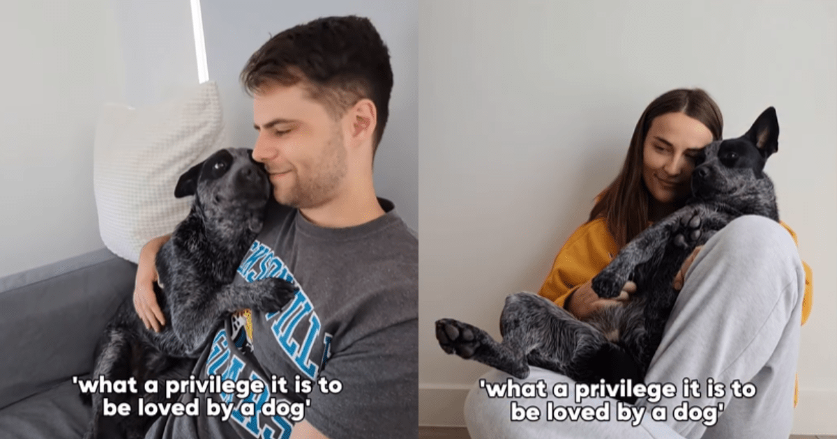 Video Reveals How Being Loved by a Dog Is a 'Privilege' - DogTime