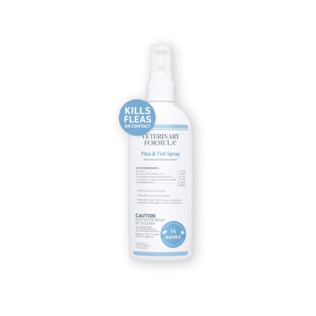 13 Best Flea Treatments for Dogs — Top Picks in 2025