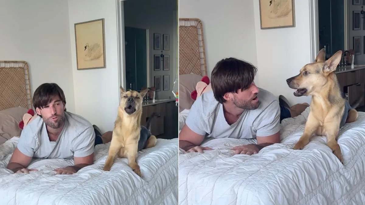 Rescue Dog’s Reaction to Owner ‘Mimicking His Every Move’ Captured in ...