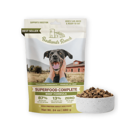 12 Best High-Protein Dog Foods to Fuel Your Canine - DogTime