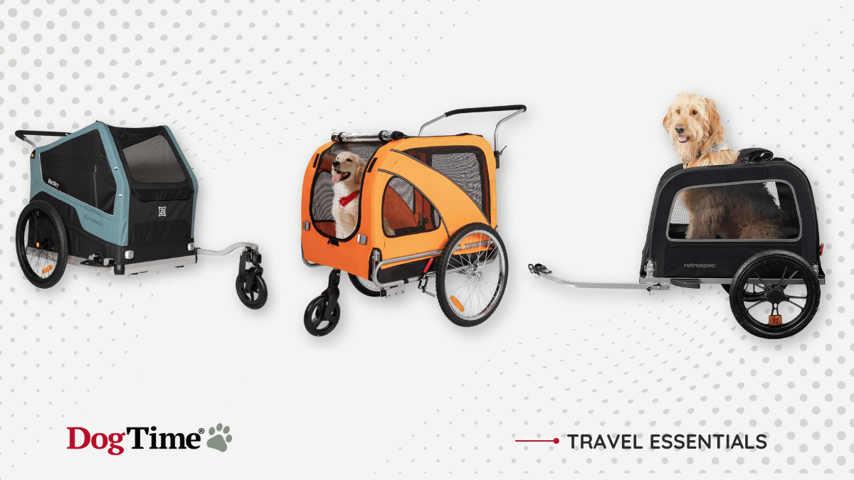 11 Best Dog Bike Trailers — Safe, Comfy, and Practical