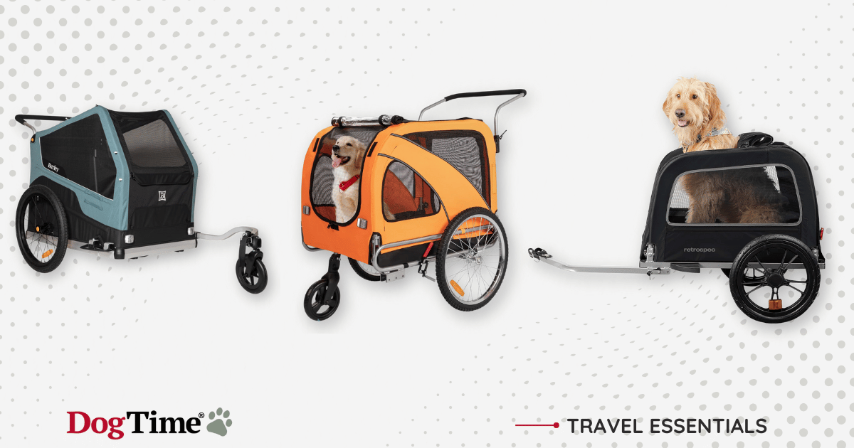 11 Best Dog Bike Trailers — Safe, Comfy, and Practical
