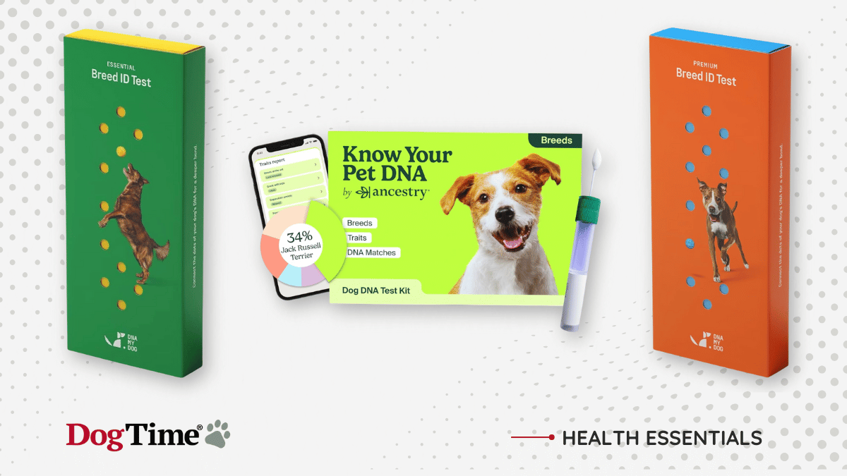 11 Best Dog DNA Test Kits to Understand Your Pet Better - DogTime