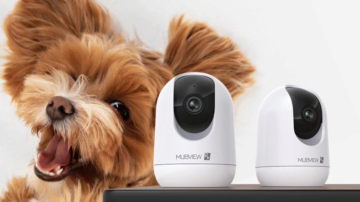 PetCube Interactive WiFi Camera For Dogs And Cats REVIEW - DogTime