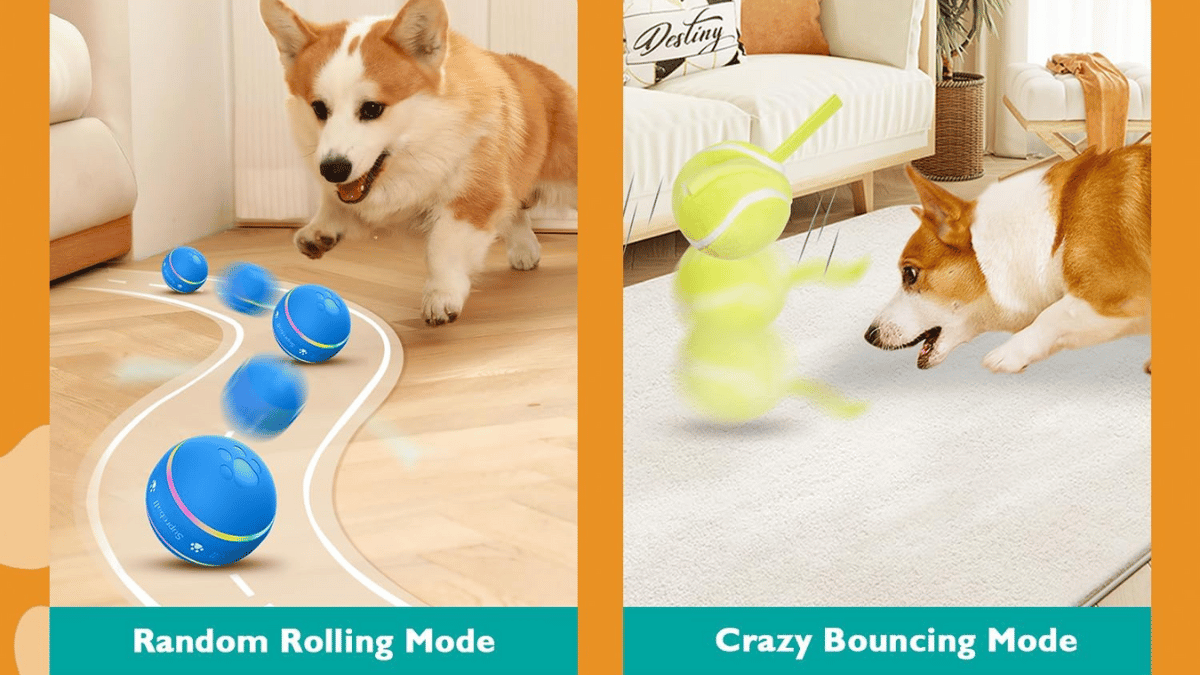 Indestructible Dog Toys That Can’t Be Destroyed & With Lifetime Guarantees