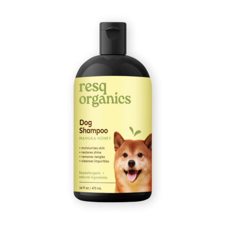 11 Best Dog Dandruff Shampoos and Sprays for a Healthy Coat