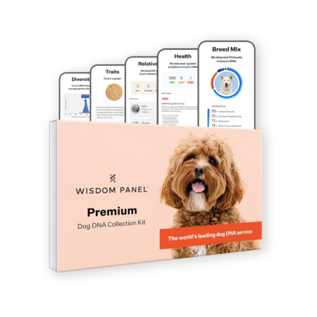 11 Best Dog DNA Test Kits to Understand Your Pet Better - DogTime