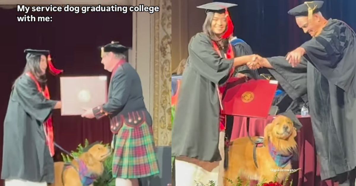 Video: Service Dog Graduates & Walks Alongside Owner During Ceremony ...