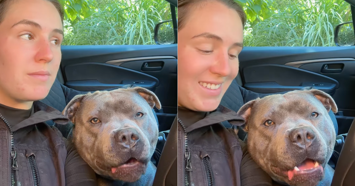 Video: Dog Sends Out an ‘Urgent Message’ in the Most Adorable Way ...