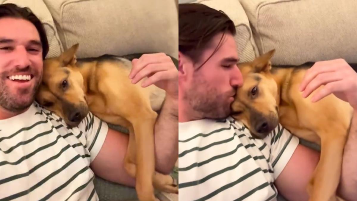 Video: Rescue Puppy Does This After Seeing Owner After a Day - DogTime