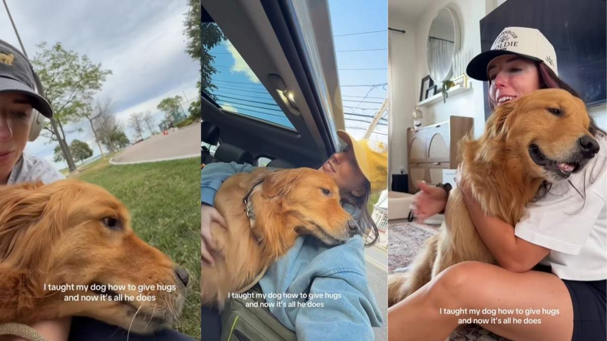 Video: Once Dog Learns Hugging From Owner, It's All He Does - DogTime