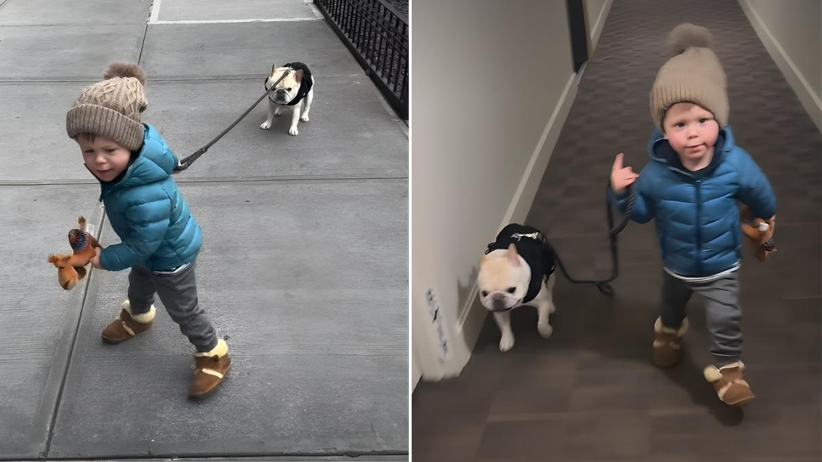 Video of a Dog Being Walked by a Kid Is Everything - DogTime