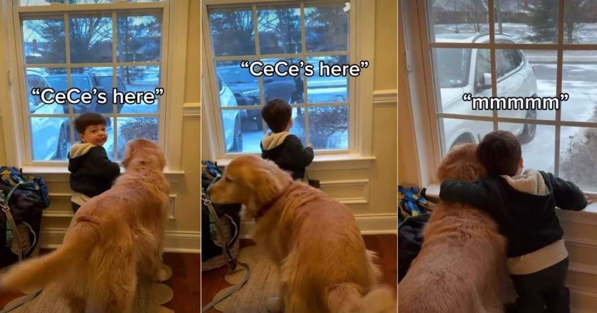 Video: Dog & Toddler Adorably Wait for Grandmom Together - DogTime