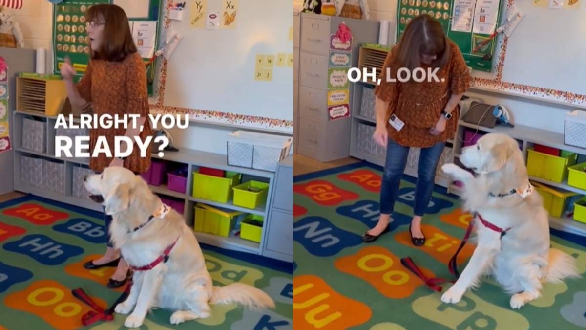 Therapy Dog Loves ‘Waving Bye-Bye’ to His Reading Buddies - DogTime