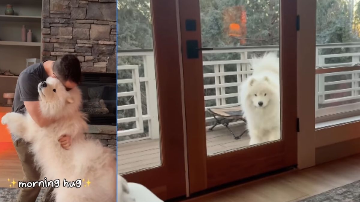 Video: Dog Begins the Day With a 'Morning Hug' - DogTime
