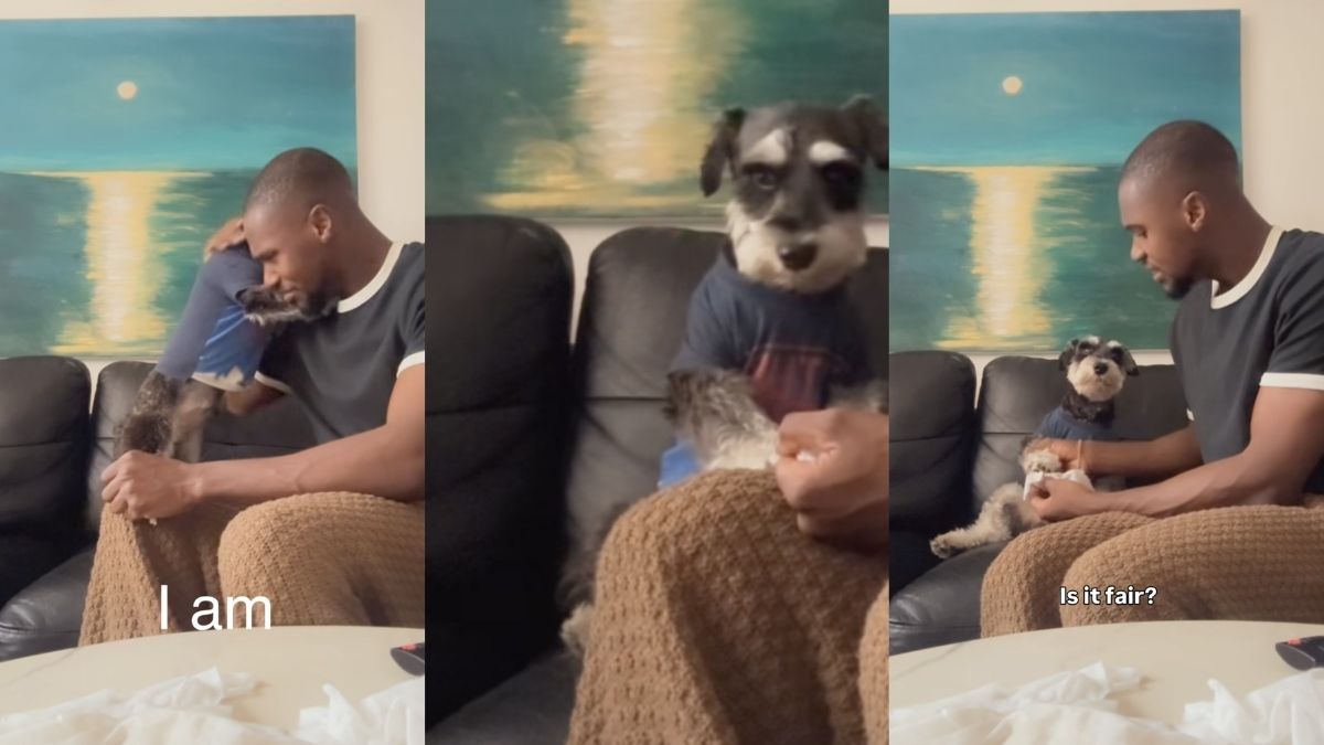 Dog Listens to 'Dramatic Dad' Intently in Funny Video - DogTime