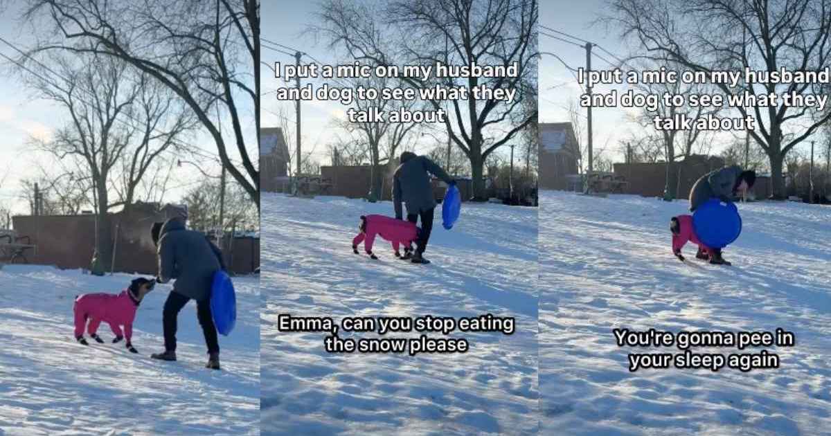 Video: Dog & Dad's Sledding Game Ends Hilariously - DogTime