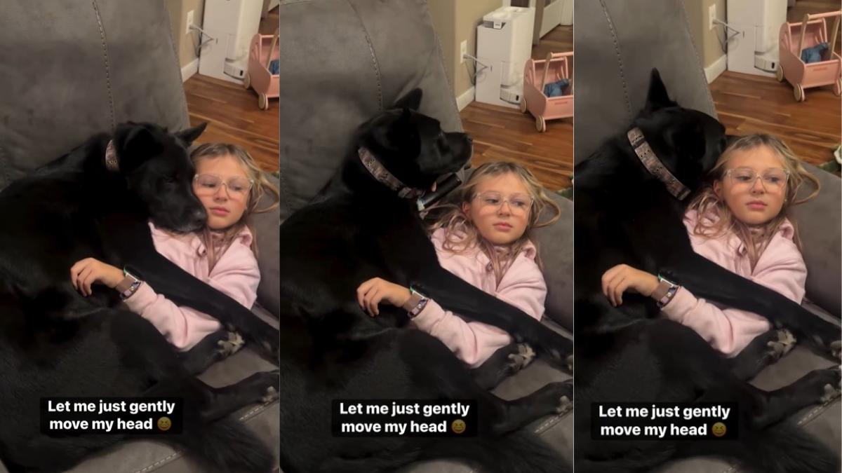 Video: Dog Adjusts His Head Carefully So He Doesn’t Disturb the Kid He ...