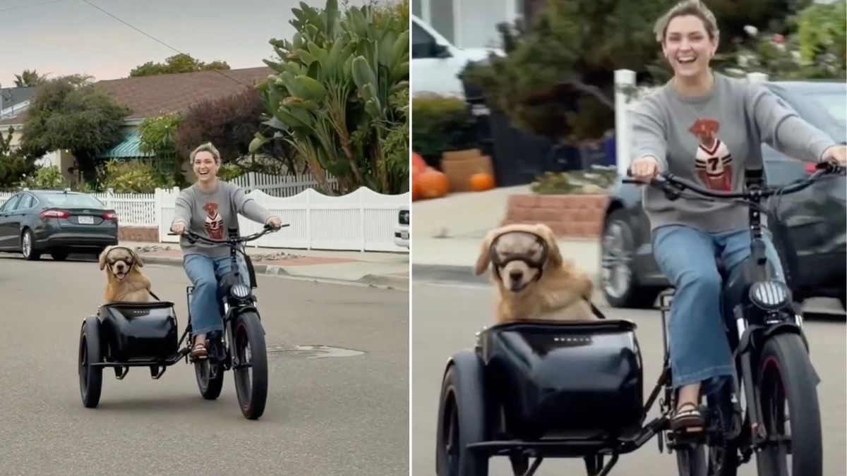 Video: Dog Enjoying Bike Ride With Owner Melts Hearts - DogTime