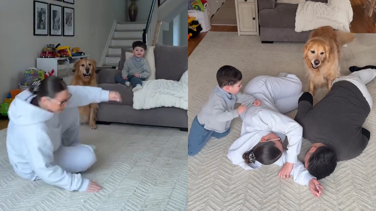 Video: Dog & Toddler React to Parents Pretending To Pass Out - DogTime