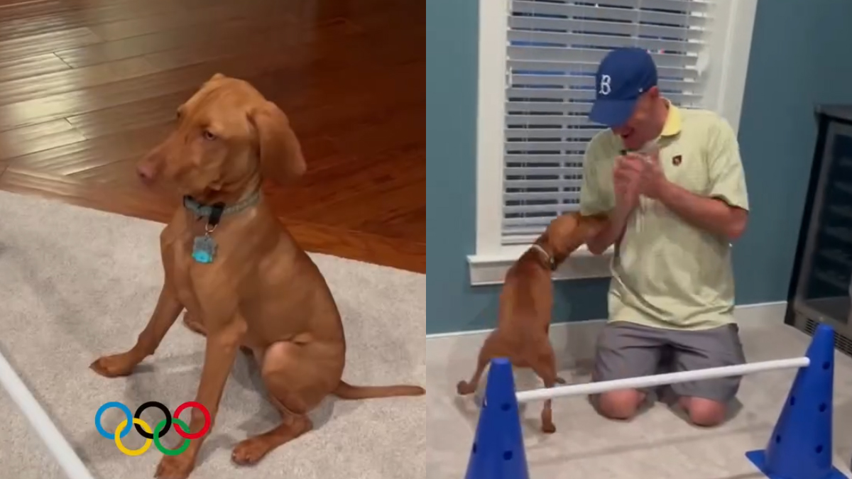Video: Dog Competes With Herself in Homemade Winter Olympics - DogTime