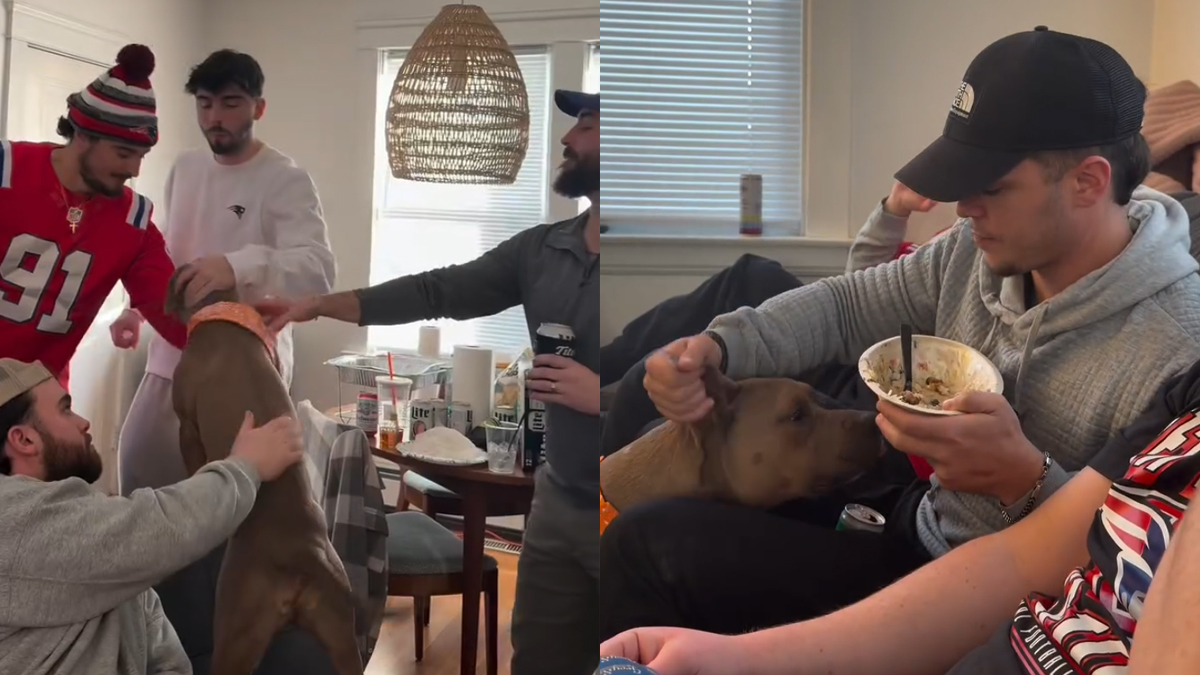 Video Shows Rescue Dog Getting All the Love He Deserves - DogTime