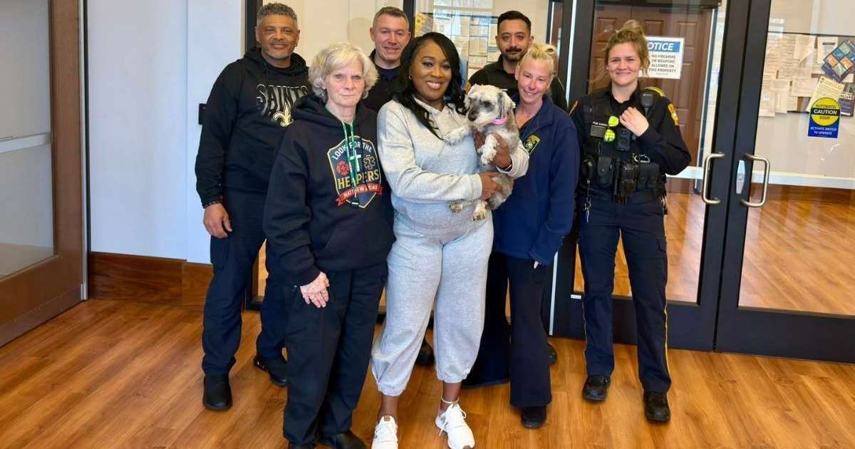 Dog Missing for 2 Years Found 1,000 Miles Away, Reunited With Owner ...