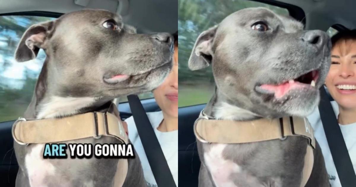 Dog Can’t Hide Excitement as She Is About To Meet Furry Cousin - DogTime